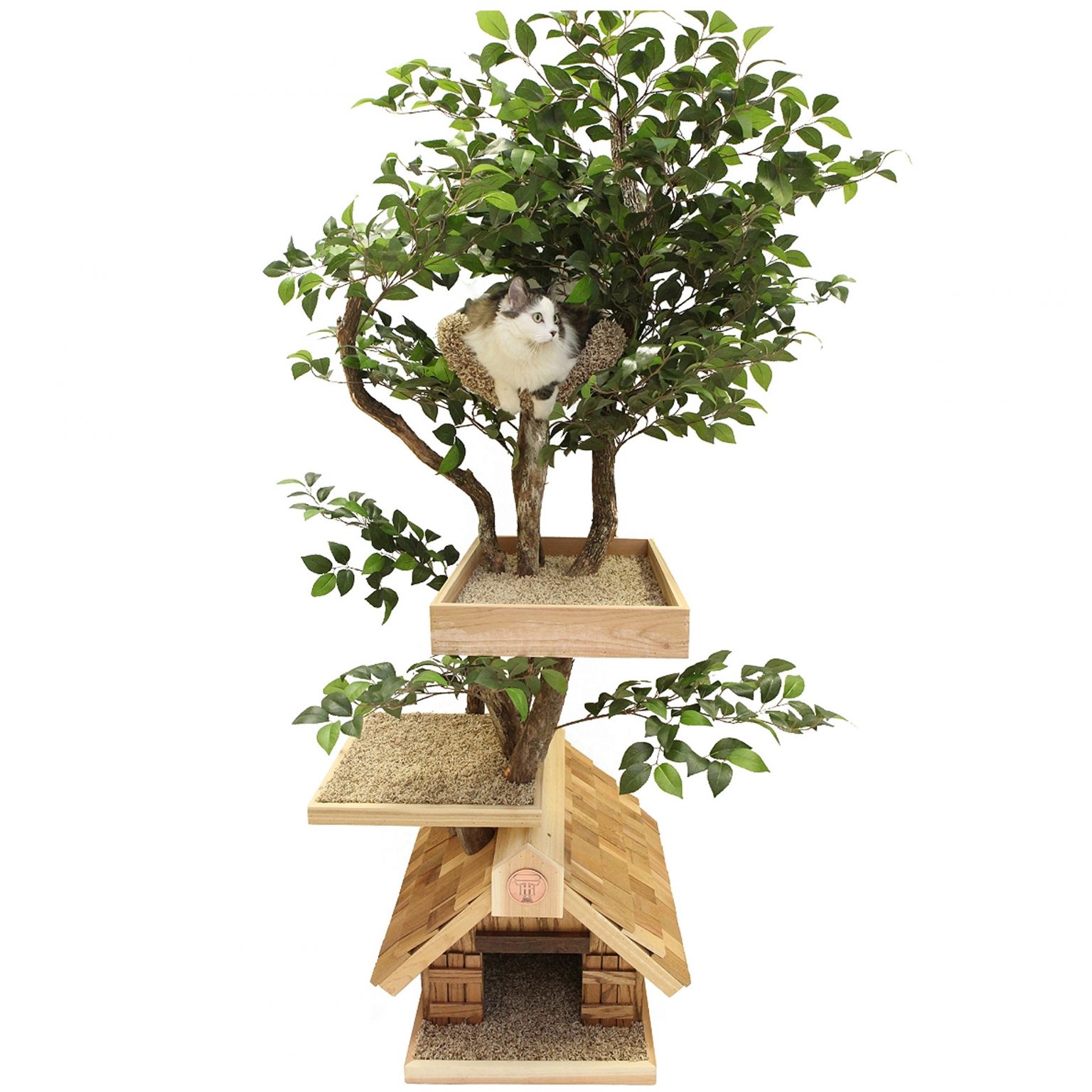 Perfectly Pampered Pets - The Hunt Magazine