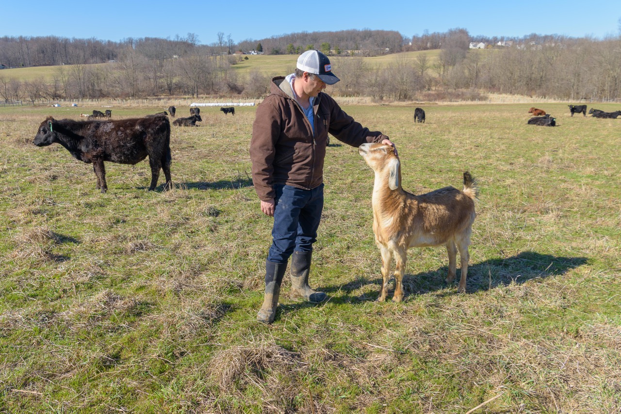 Wyebrook Farm's Innovative Model - The Hunt Magazine