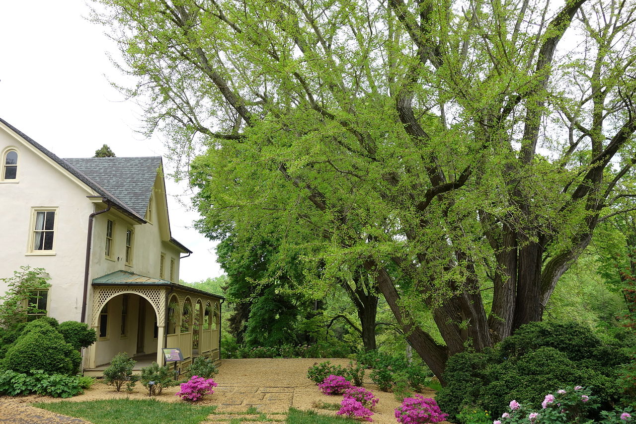 15 Brandywine Valley Gardens and Arboretums to Visit This Spring - The ...