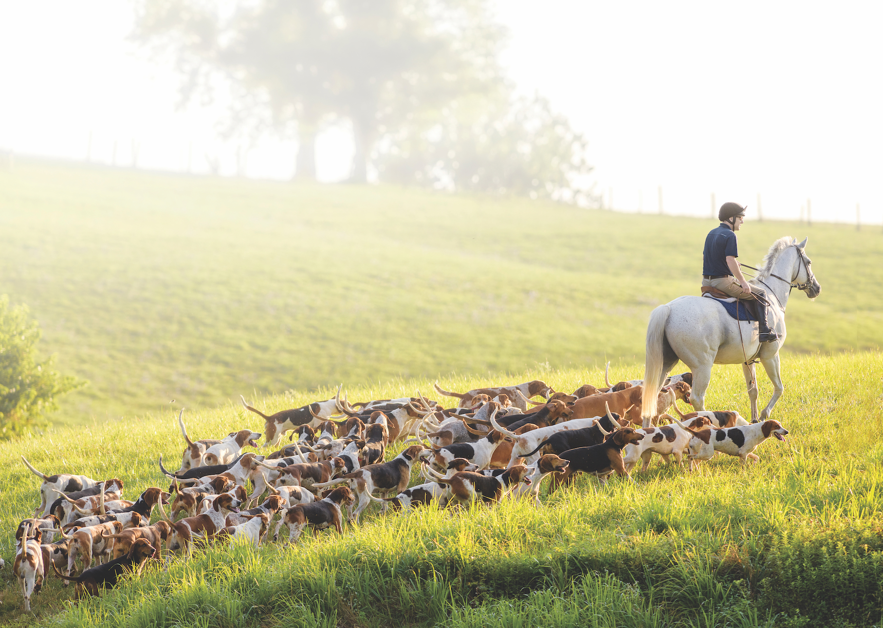 Running with the Pack in Chester County's Cheshire Hunt Country - The ...