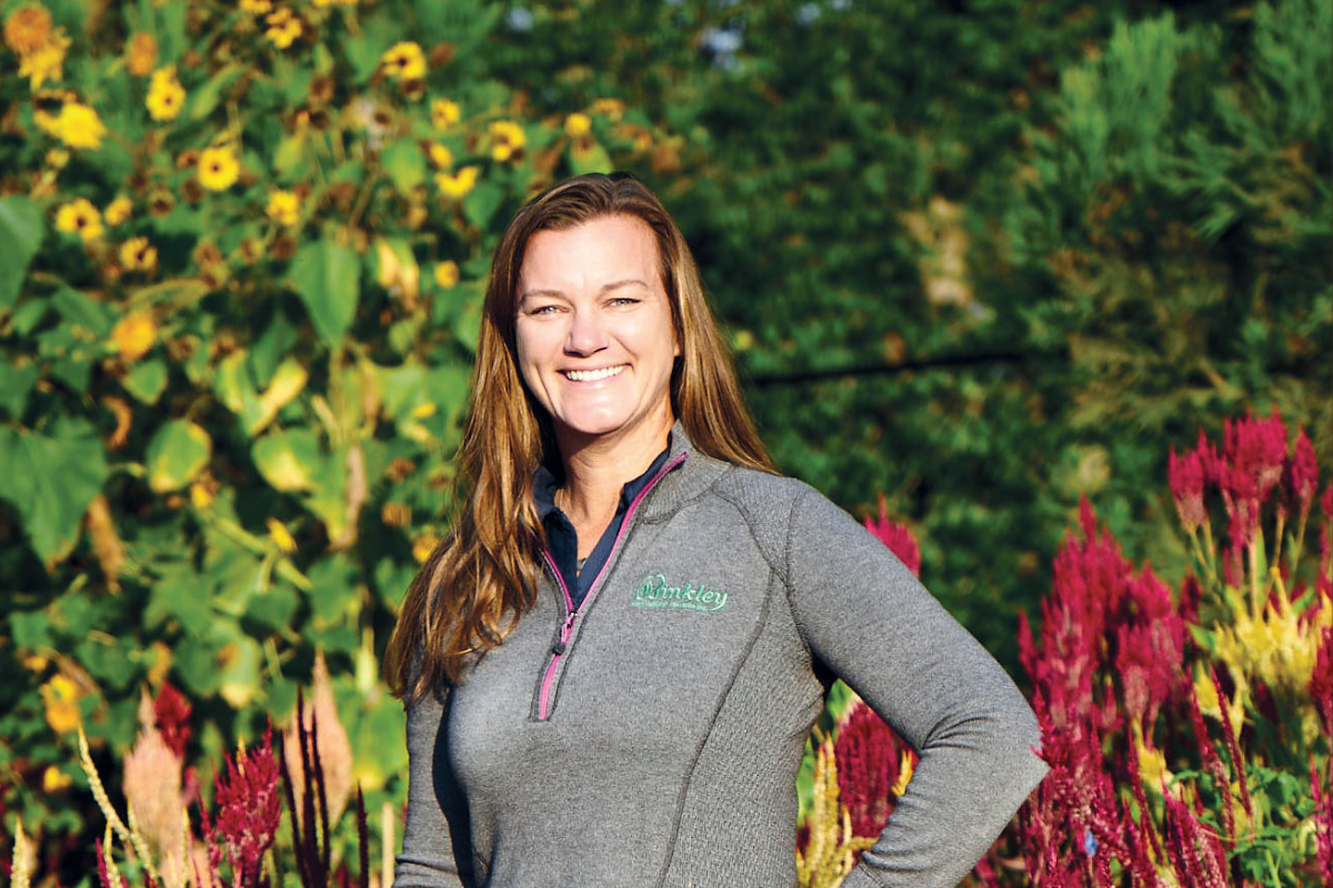 Craft a Container Garden for Your Brandywine Valley Home